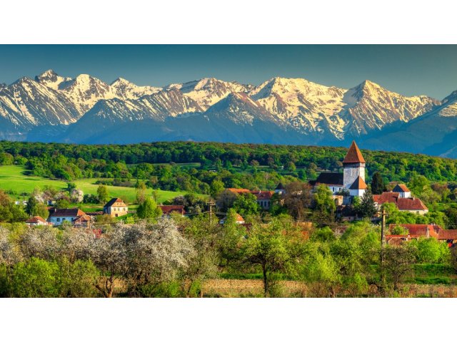 Animalul național - râsul - Șapte simboluri naționale ale României mai ...