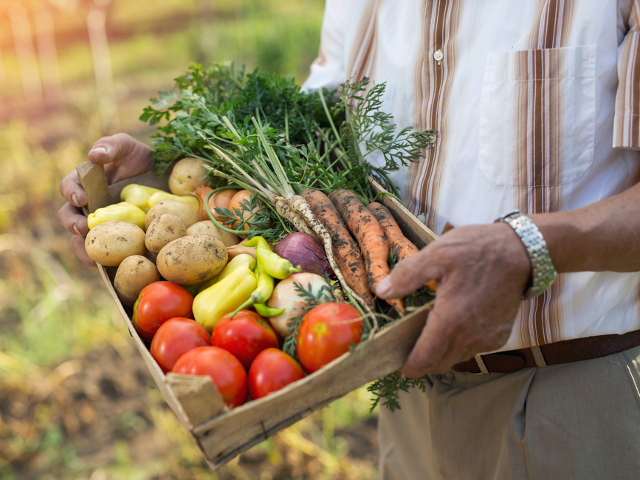 Top 4 legume din bucataria romaneasca: ce trebuie sa stii ca sa le ...