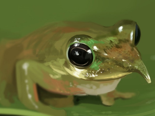 Delfin roz - 7 animale ciudate despre care nu ai auzit pana acum. Vezi ...